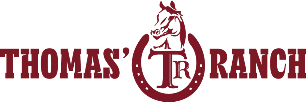 THOMAS' RANCH - PENSION ÉQUESTRE - ÉLEVAGE - GÎTES