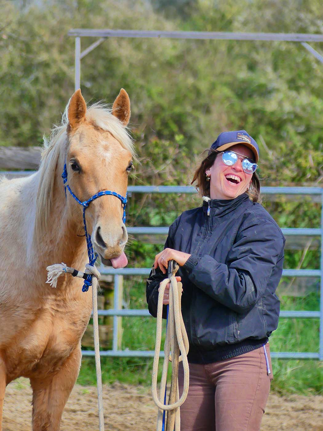 Accueil - Thomas' Ranch